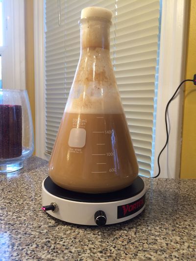 Yeast - Distillers Wiki